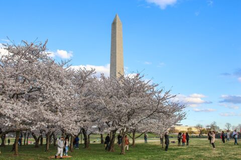Route for ‘Freedom 250’ IndyCar Race Around the National Mall Unveiled ...